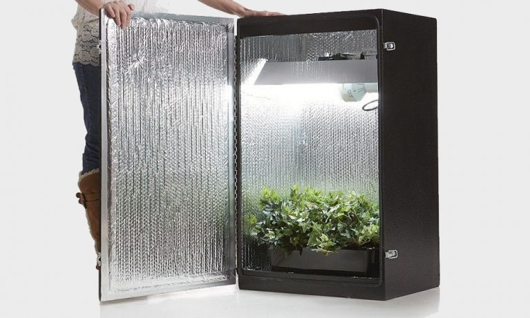 How to Increase Humidity in A Grow Box – What for Me