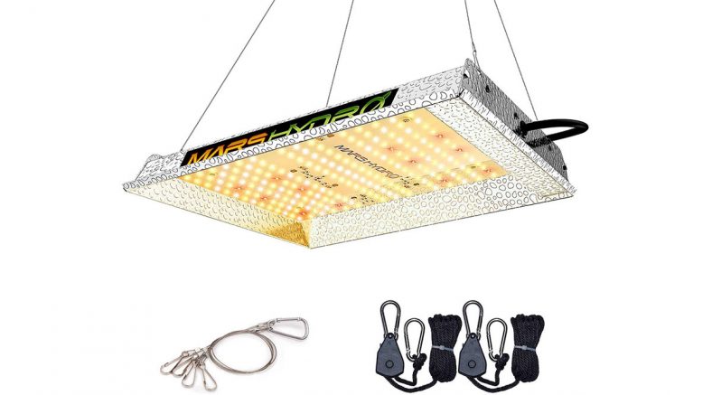 Mars Hydro 600W Review – What for Me